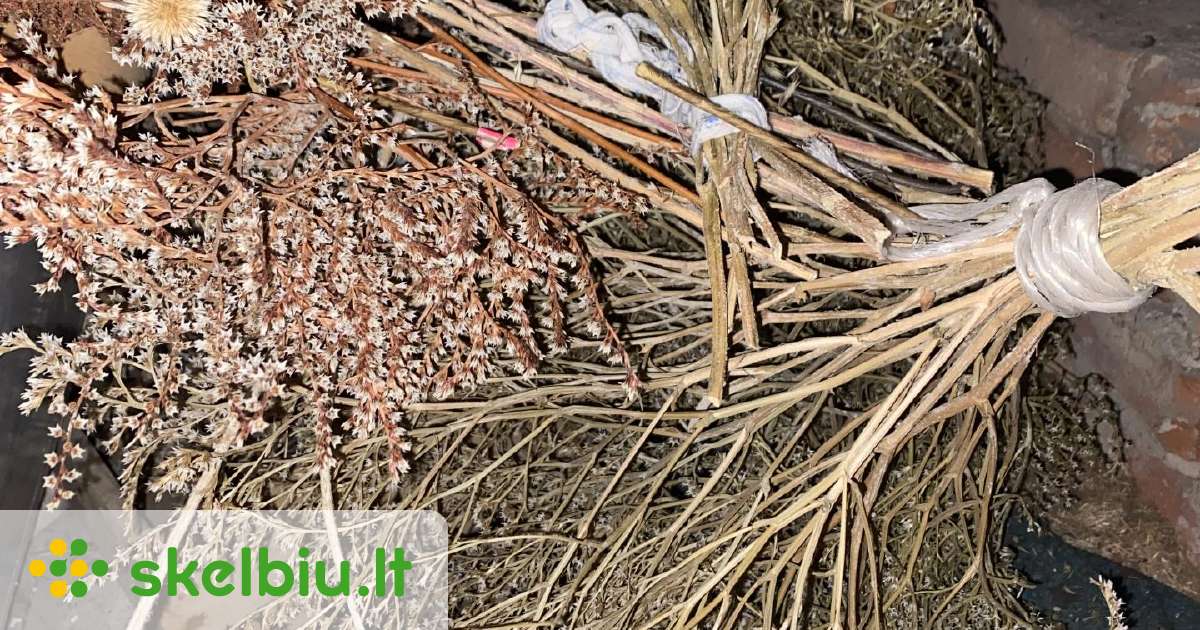 Parduodmas sausas augalas - Skelbiu.lt