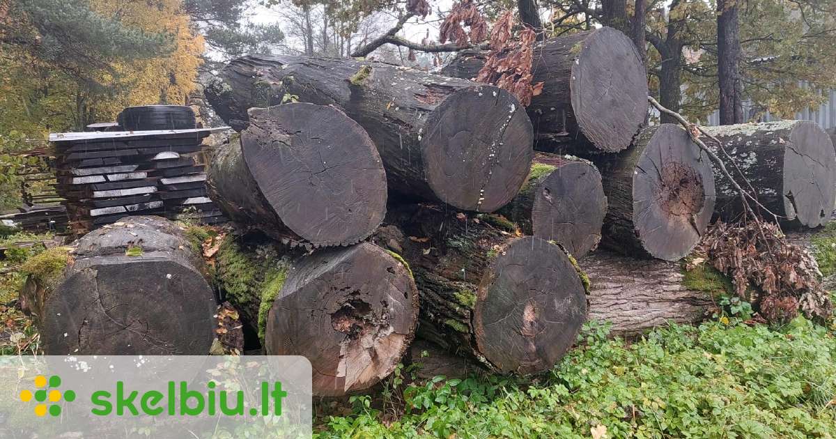Ąžuolo rąstai/ mediena - Skelbiu.lt