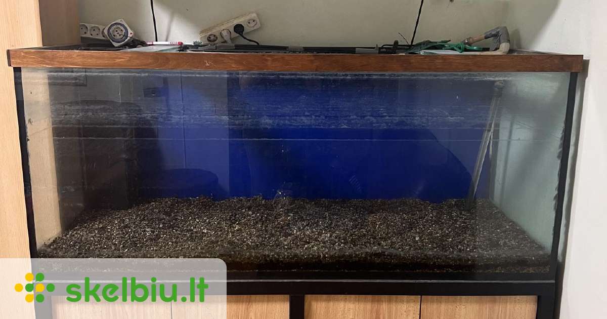 Akvariumas - Skelbiu.lt