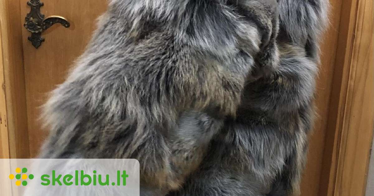 Natūralūs kailio kailinukai.dėvėti kelis kartus. - Skelbiu.lt