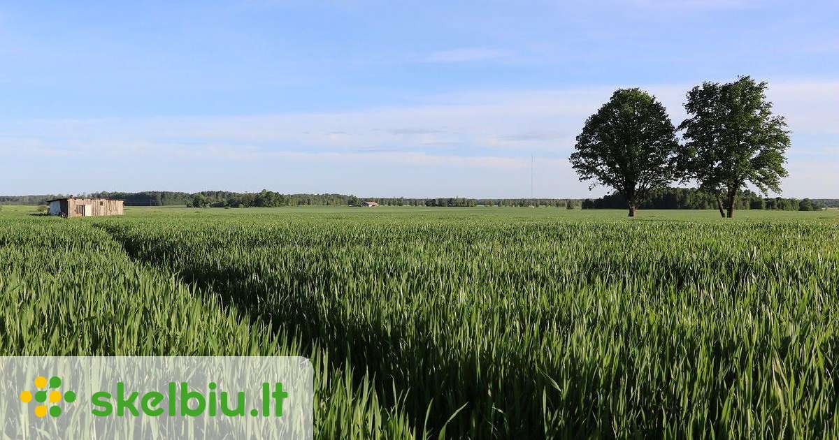 Perku arba išsinuomoju žemės ūkio paskirties žemę - Skelbiu.lt