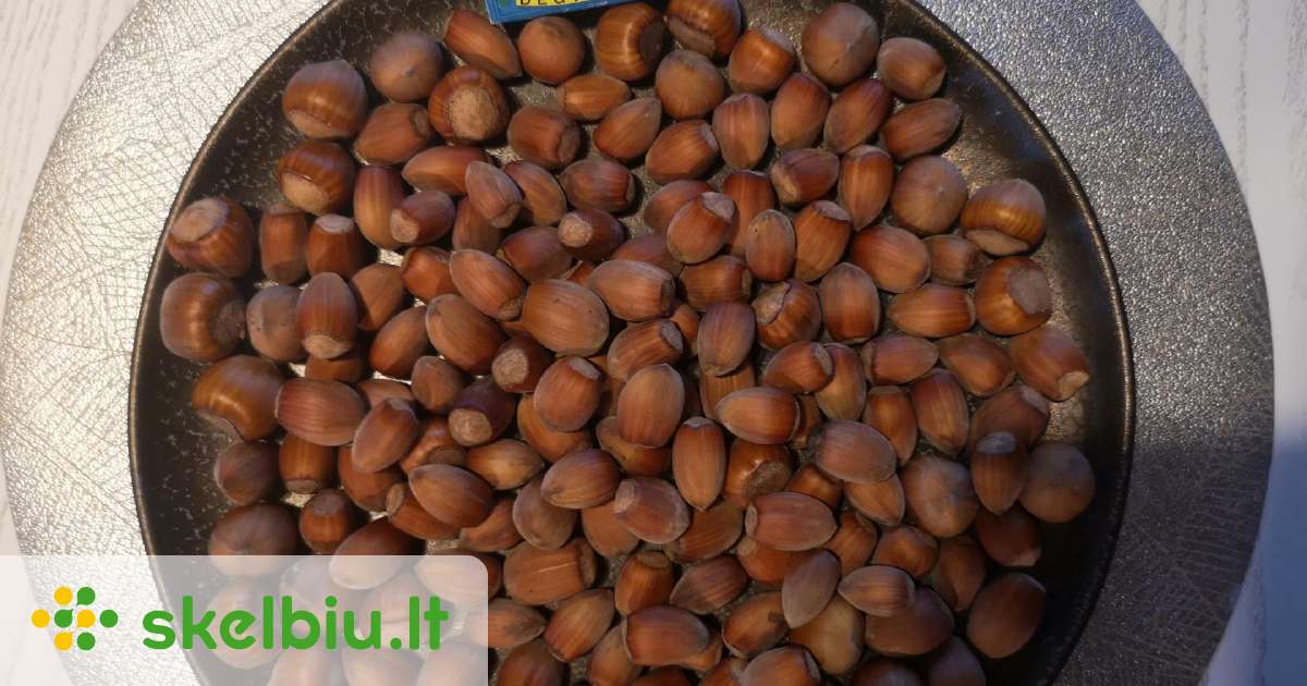 Lazdyno riešutai - Skelbiu.lt