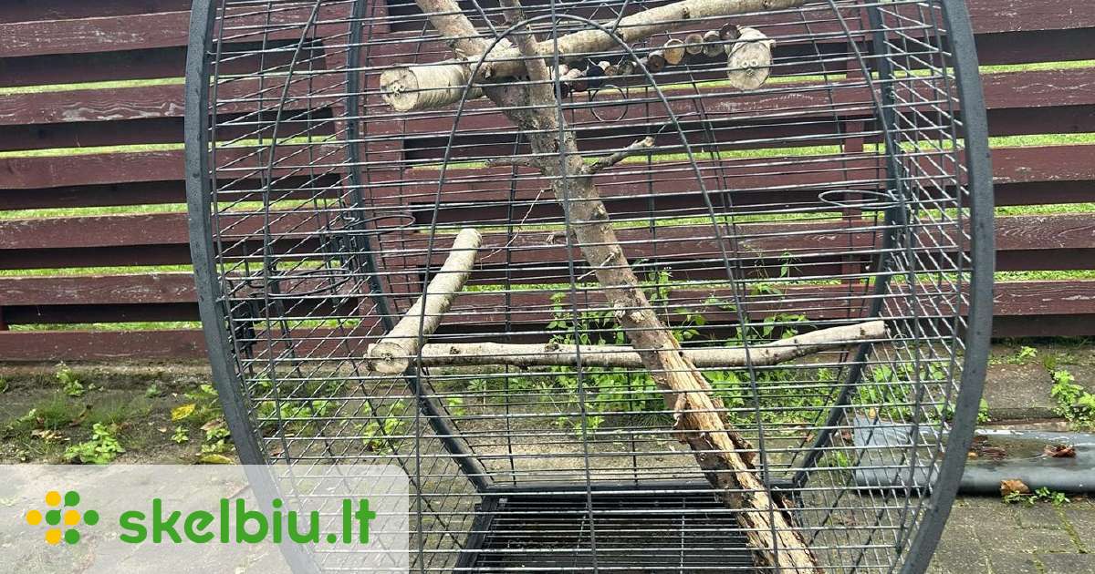 Parduodu Žako papūgos narvą - Skelbiu.lt