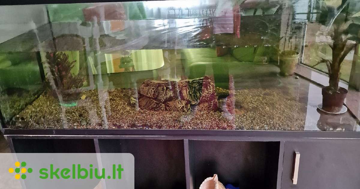 akvariumai zuvims skelbimai - Skelbiu.lt