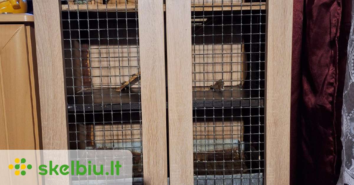 grauziku narvas 3 aukstu skelbimai - Skelbiu.lt