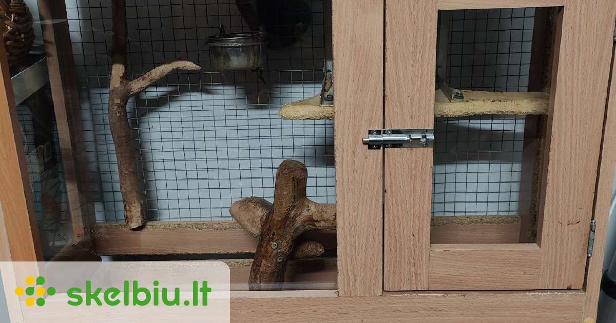 Narvas šinšilai - Skelbiu.lt