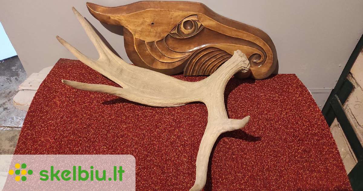 briedzio raga skelbimai - Skelbiu.lt