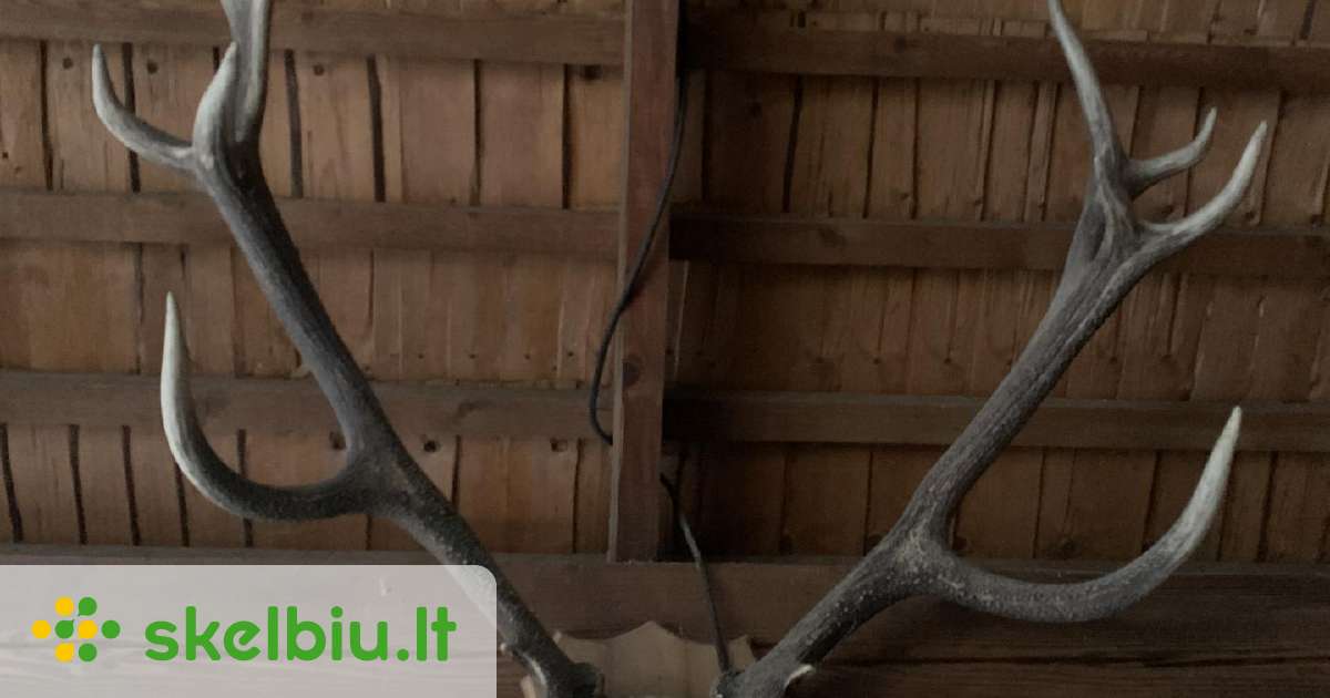 medziokle zvejyba ragai skelbimai - Skelbiu.lt