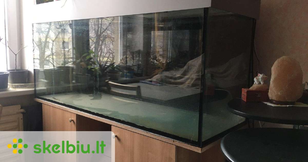 akvariumas 400 skelbimai - Skelbiu.lt