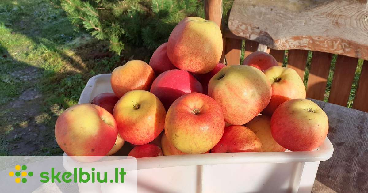 Parduodu ekologiškus obuolius - Skelbiu.lt