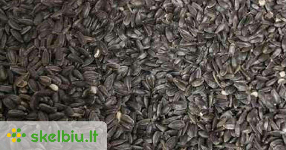 Juodos smulkios saulegrazos 1eur/kg - Skelbiu.lt