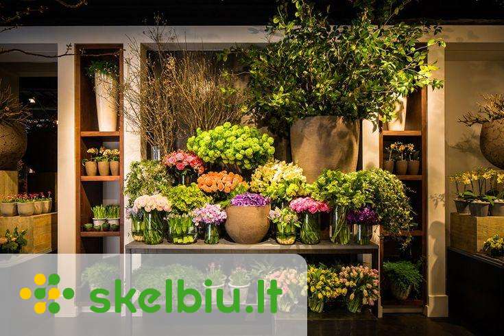 geliu verslas vilnius skelbimai - Skelbiu.lt