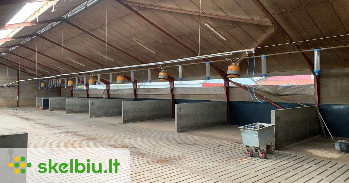 Angaras, tvartas, konstrukcijos, sijos - Skelbiu.lt