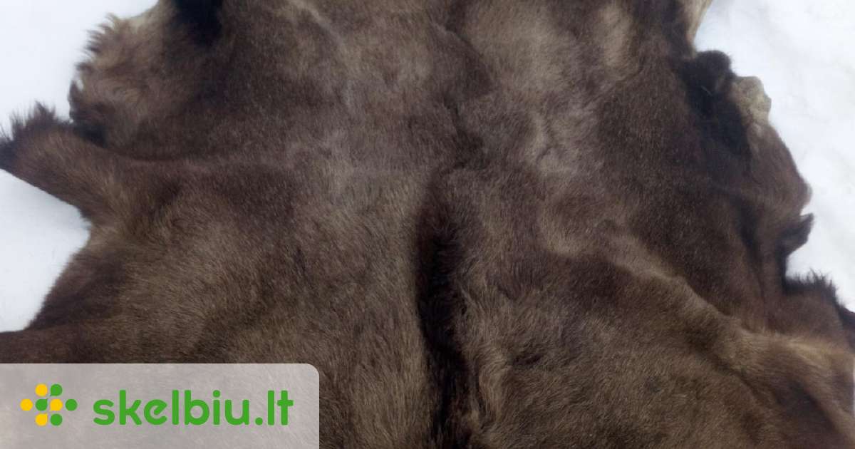 Didelis labai grazus Briedzio kailis - Skelbiu.lt