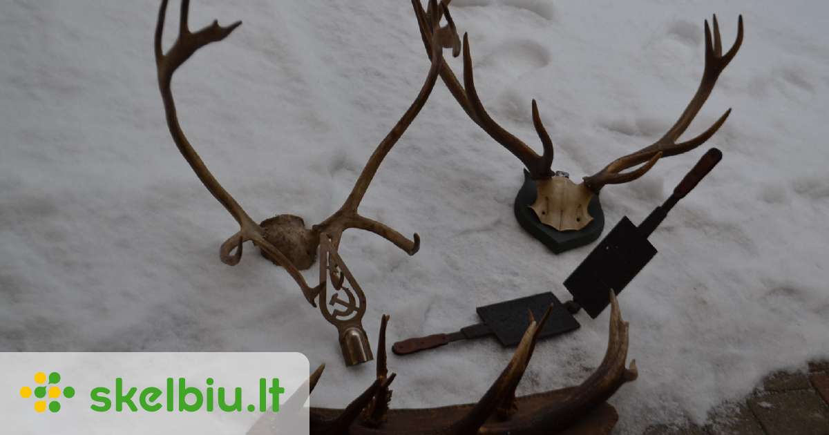 Elniu ragai - Skelbiu.lt