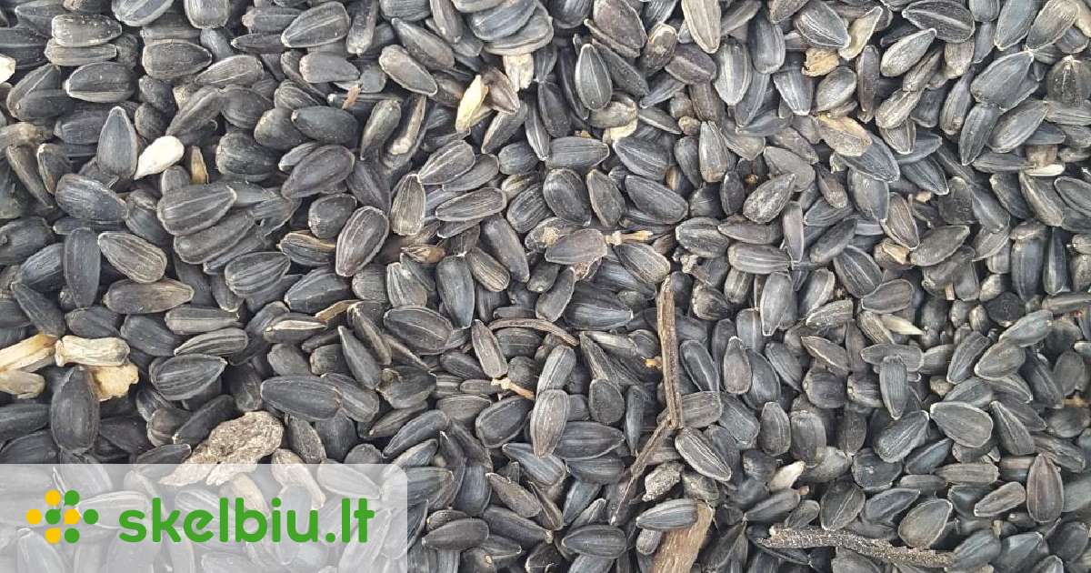 saulegrazos pauksciams skelbimai - Skelbiu.lt