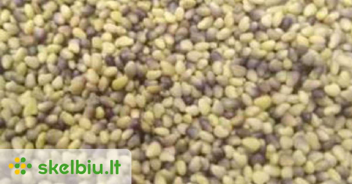 Lietuviškų veislių pašarinės žolių sėklos - Skelbiu.lt