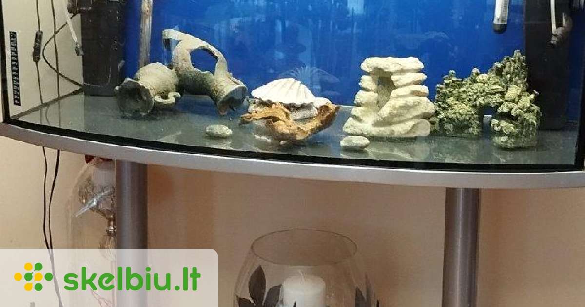 Akvariumai - Skelbiu.lt