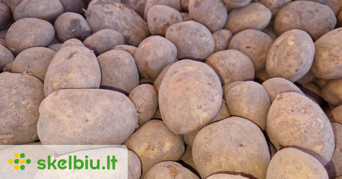 Pirksiu geltonas ir raudonas bulves dideliame maiš - Skelbiu.lt