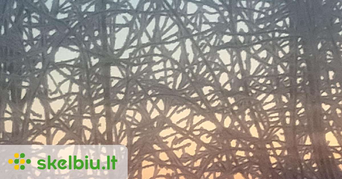 vega kaunas skelbimai - Skelbiu.lt