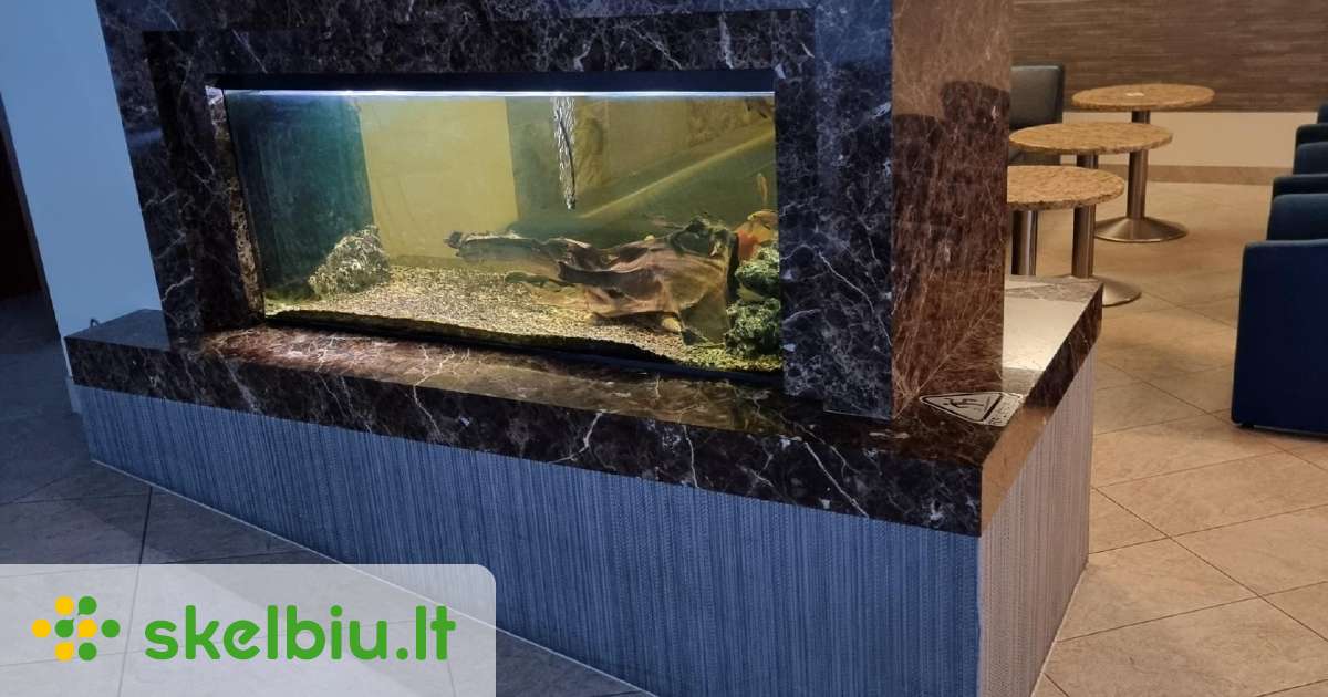 Parduodami du dideli akvariumai su visa įranga - Skelbiu.lt
