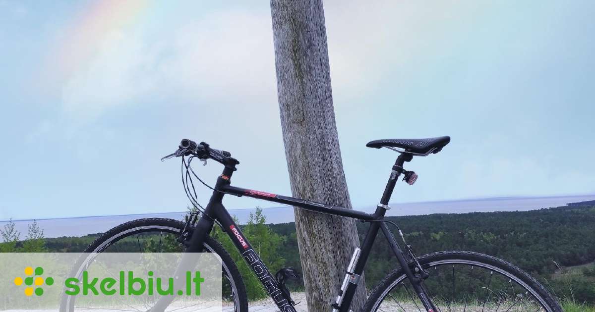 Dviratis Focus Arriba hibridas/fitneso - Skelbiu.lt