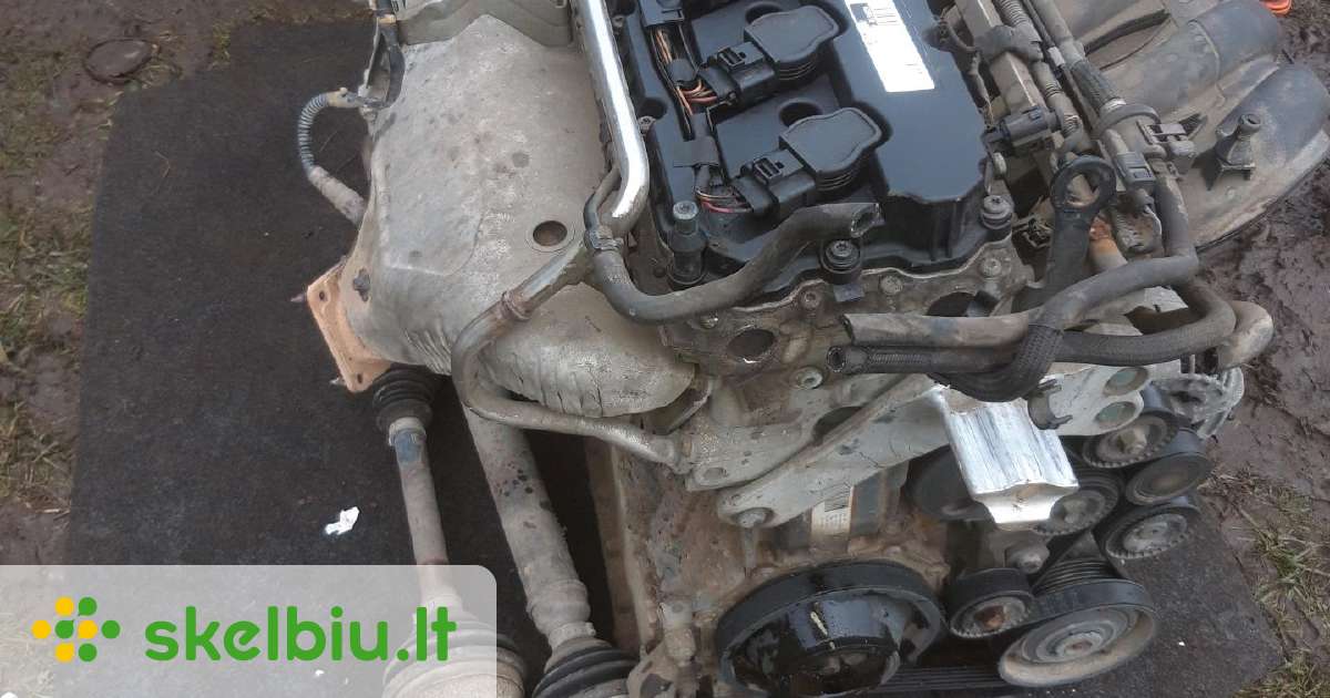 stebule panevezys skelbimai - Skelbiu.lt