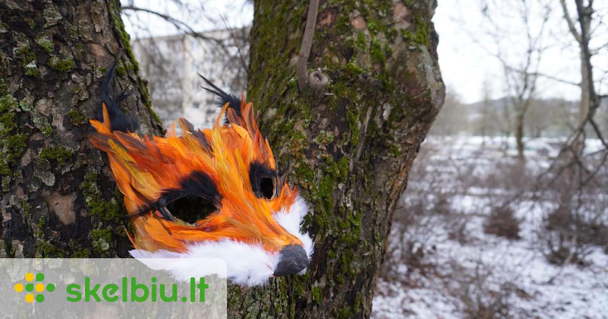 Lapės kaukė, karnavalinė kaukė, carnival mask - Skelbiu.lt