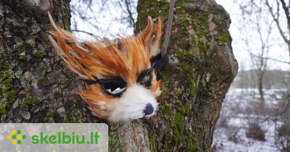 Lapės kaukė, karnavalinė kaukė, carnival mask - Skelbiu.lt