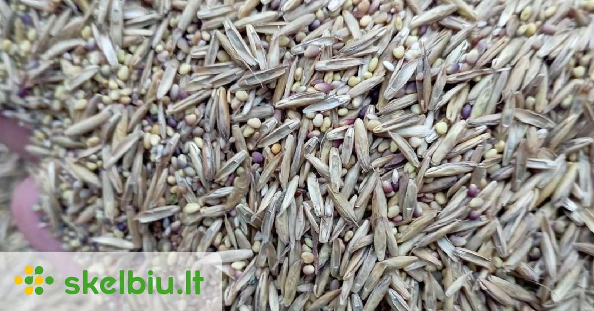 Žolės sėklos mišinys 2024metų sėjai - Skelbiu.lt