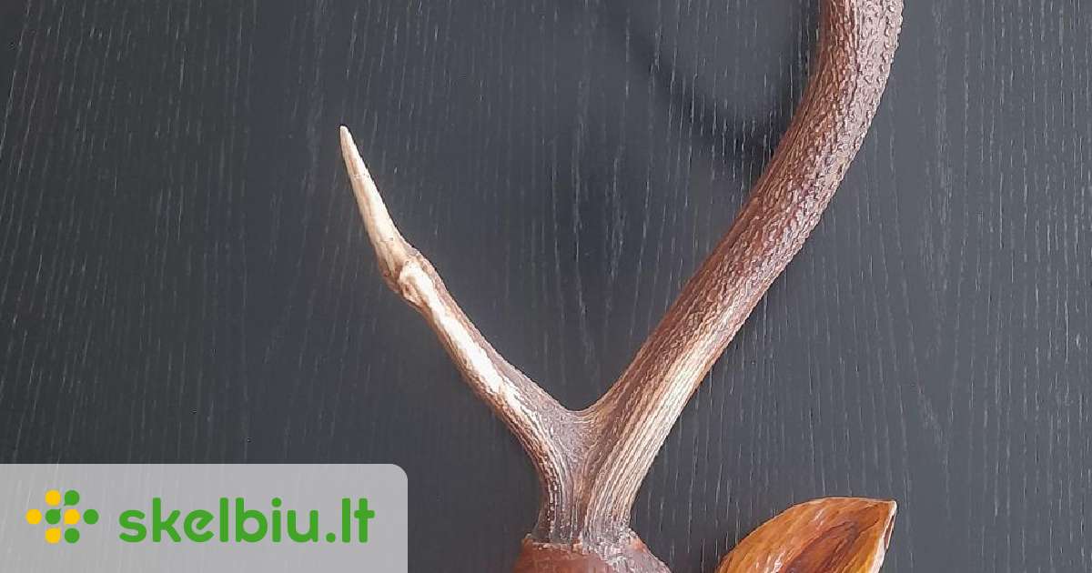 Tikri elnio ragai su netikra galva. - Skelbiu.lt