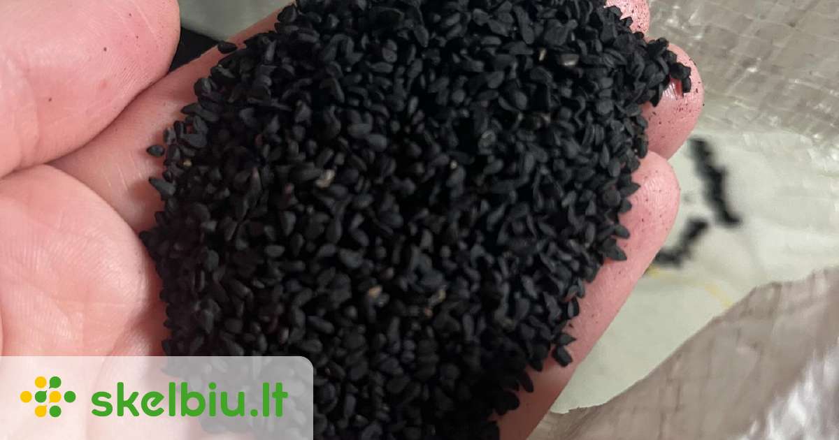 Juodgrūdės, margainio sėklos - Skelbiu.lt