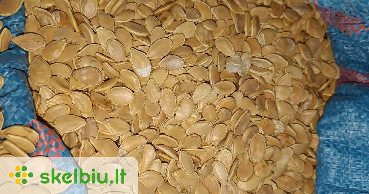 Moliūgų sėklos hokkaido - Skelbiu.lt