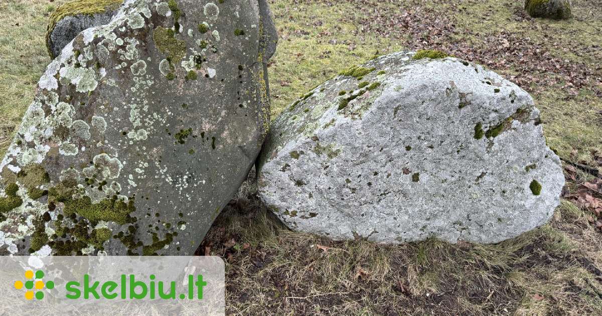 Dideli akmenys - Skelbiu.lt