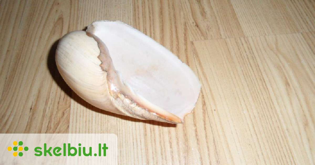 Kriaukles,didesne 5 e,mazesnes po 4e - Skelbiu.lt