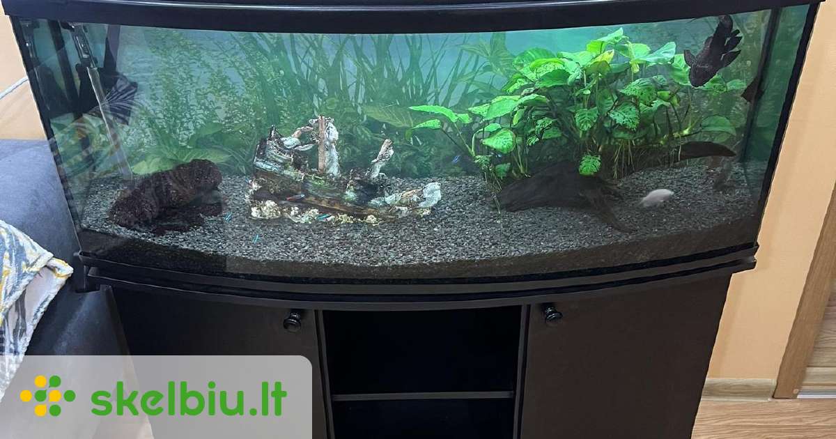 220l Akvariumas su visa įranga - Skelbiu.lt