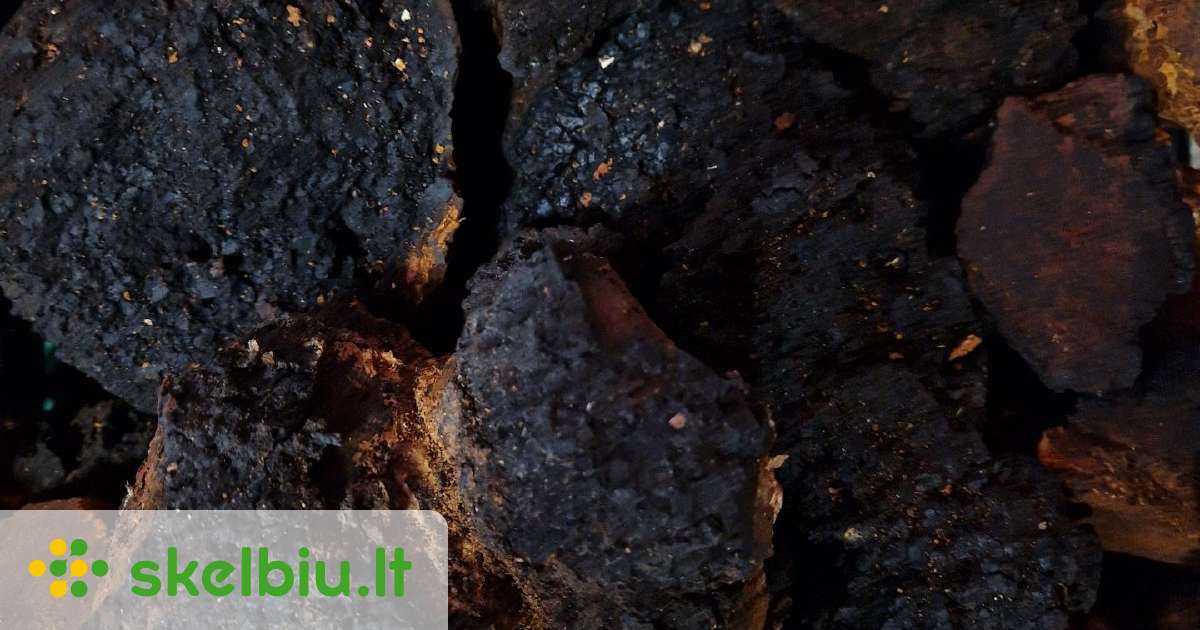 Beržo grybas - čaga - Skelbiu.lt