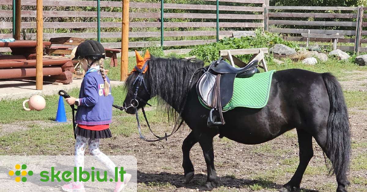 Juodoji gražuolė - Skelbiu.lt