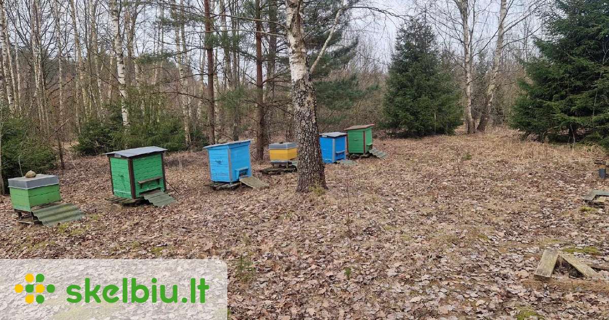 Aviliai su bitėmis - Skelbiu.lt