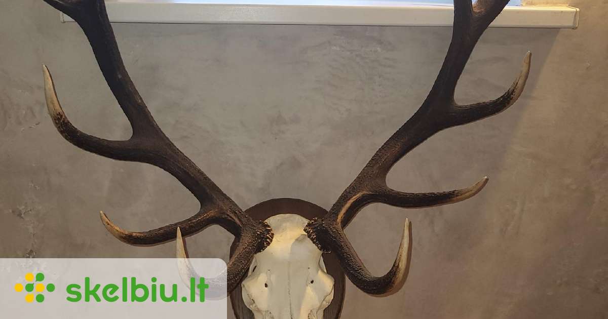 Grazus elnio ragai - Skelbiu.lt