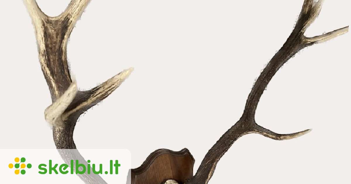 Elnio ragai parduodu - Skelbiu.lt