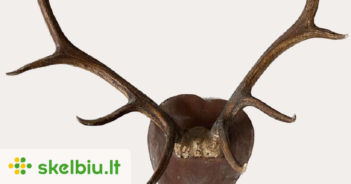 Elnio ragai - Skelbiu.lt