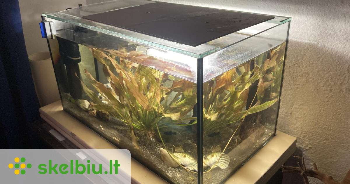 Akvariumas 60l / 80l 65x36x36 - Skelbiu.lt