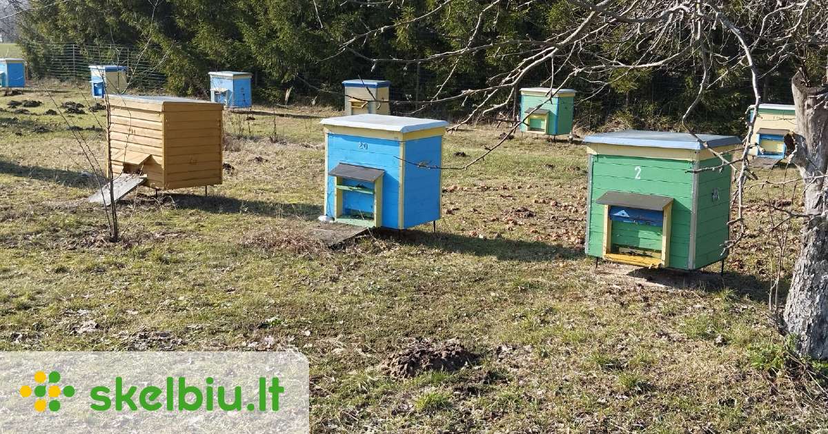 Parduodamos bitės, aviliai. - Skelbiu.lt