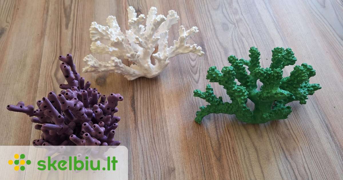 Dirbriniai koralai, tikri polypų skeletai - Skelbiu.lt