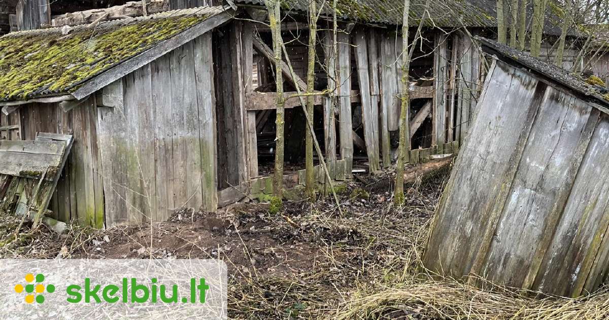 Dovanoju medieną. - Skelbiu.lt