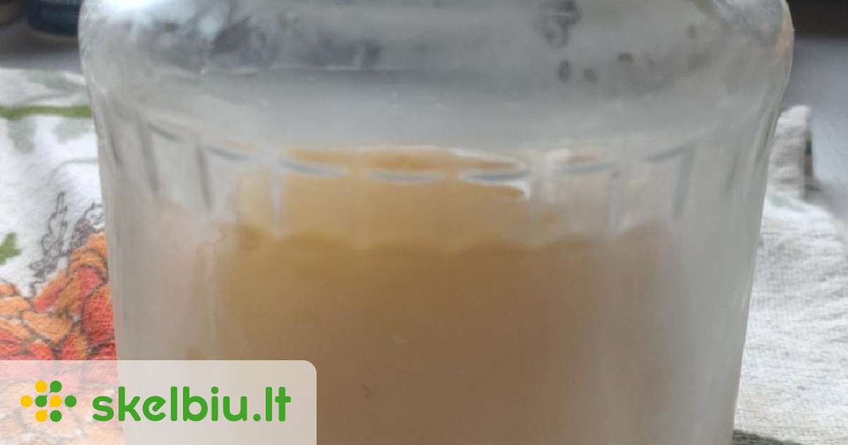 Kombuča arbatos grybas - Skelbiu.lt