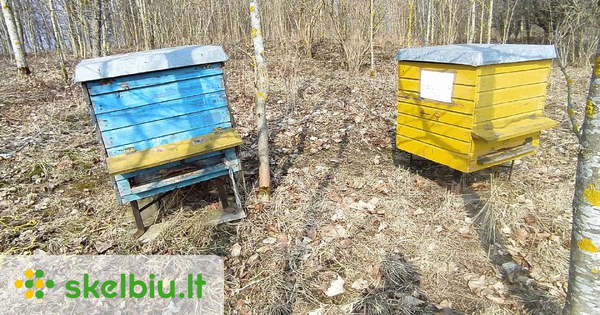 aviliai su biciu skelbimai - Skelbiu.lt