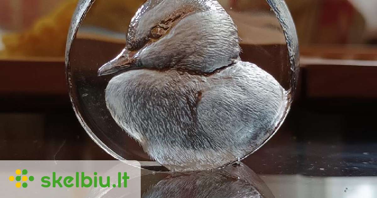 Kristolas,antis autoriaus parasas - Skelbiu.lt