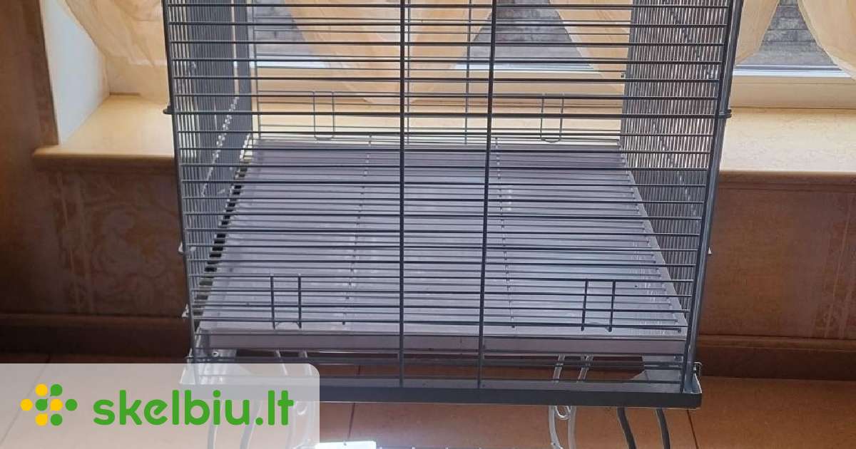 Narvas papūgai - Skelbiu.lt